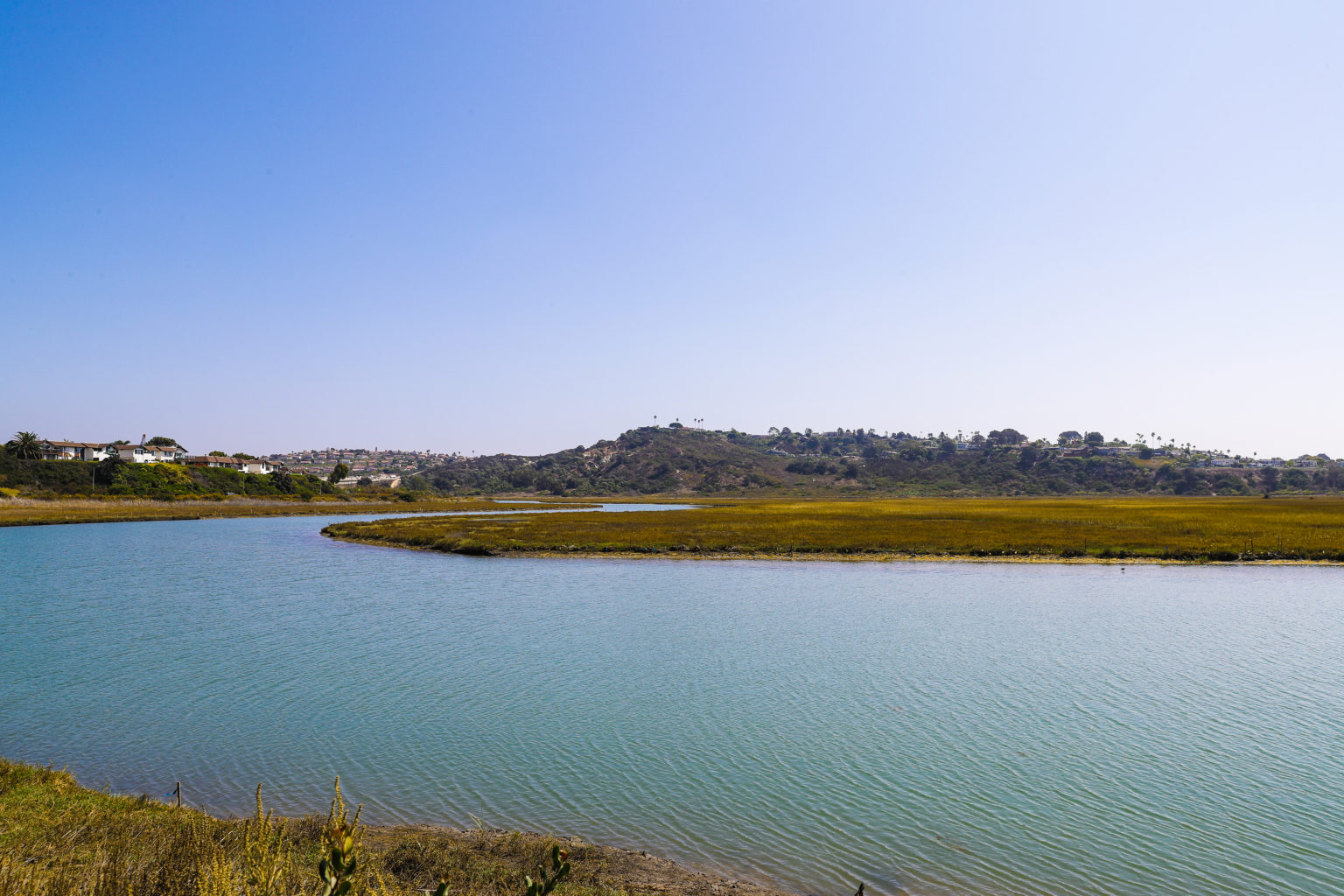 Welcome All to Your Restored Wetland | Nature Collective