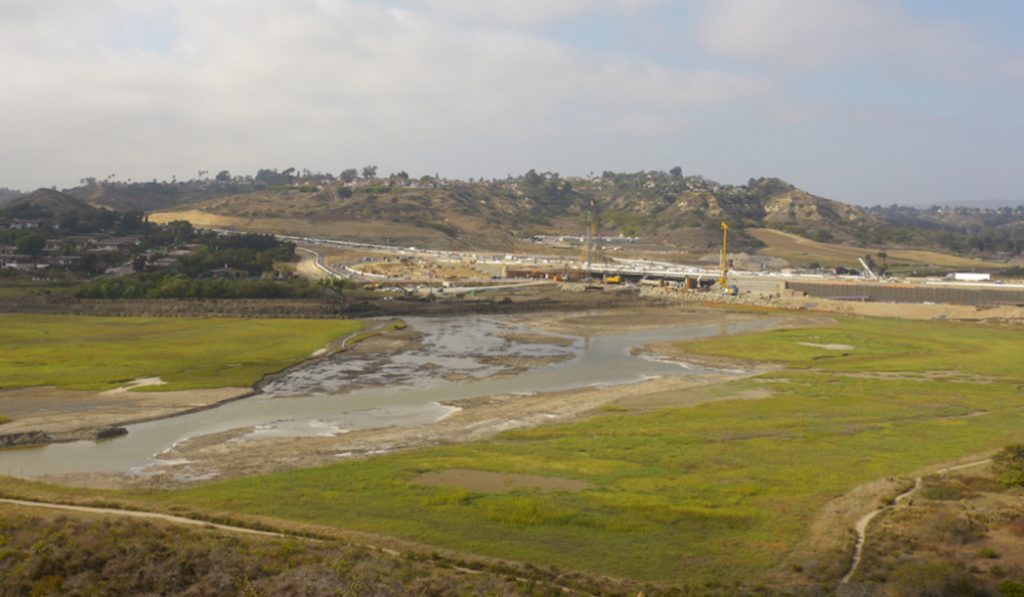 Mudflats Are Coming Into View | Nature Collective