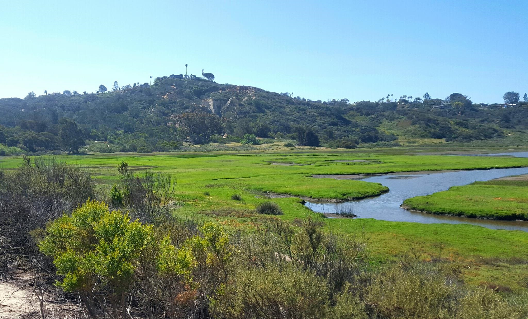 Lagoon Views | Nature Collective