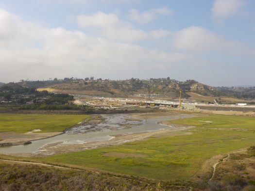 Mudflats Are Coming Into View | Nature Collective