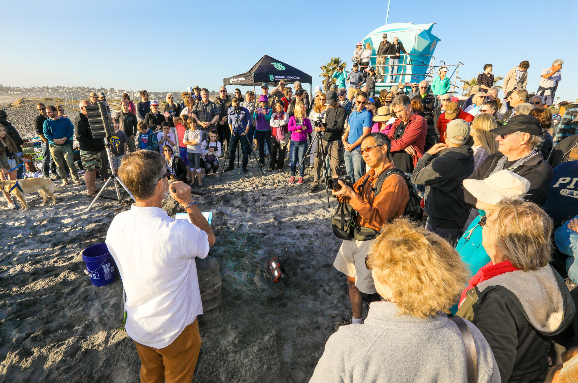 We are Nature Collective | Nature Collective