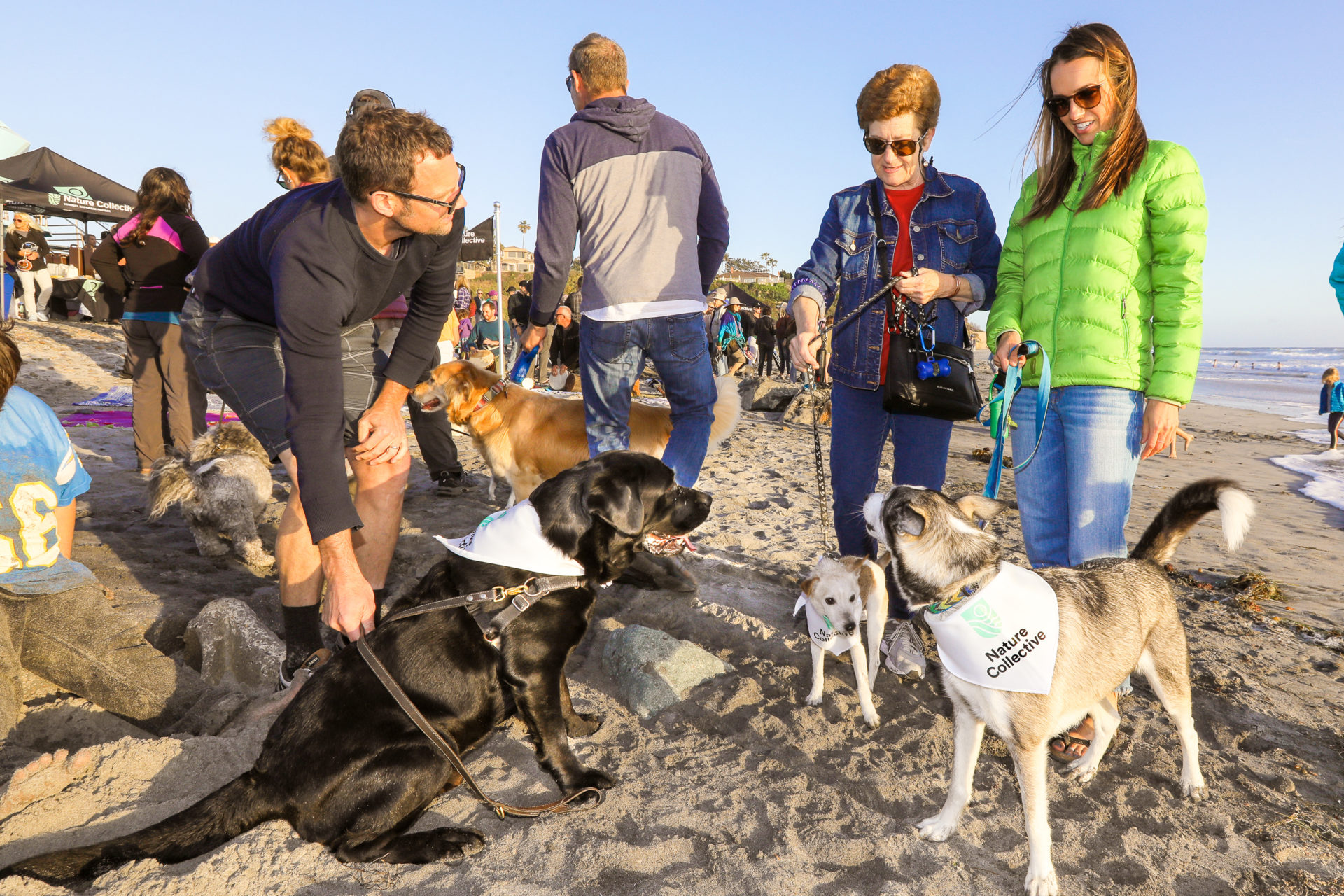 We are Nature Collective | Nature Collective