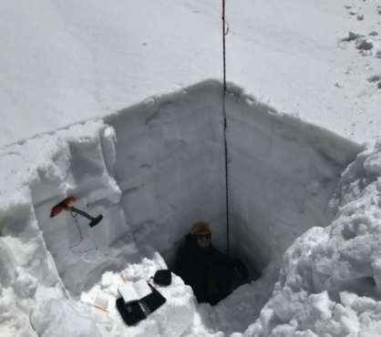 Working with Nature | Nature Collective