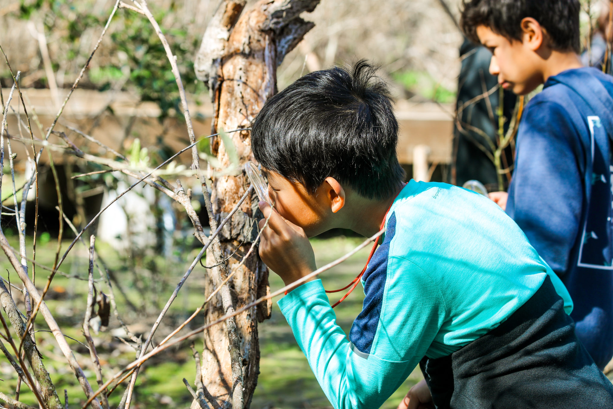 Nature Journaling | Nature Collective