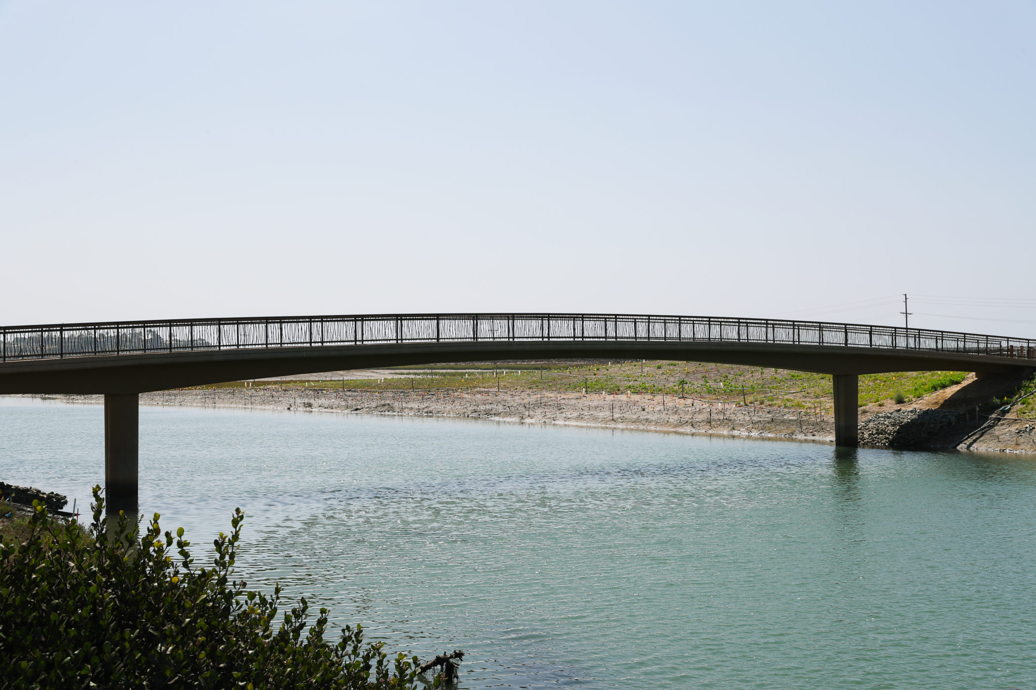 Bridging Coastal Communities | Nature Collective