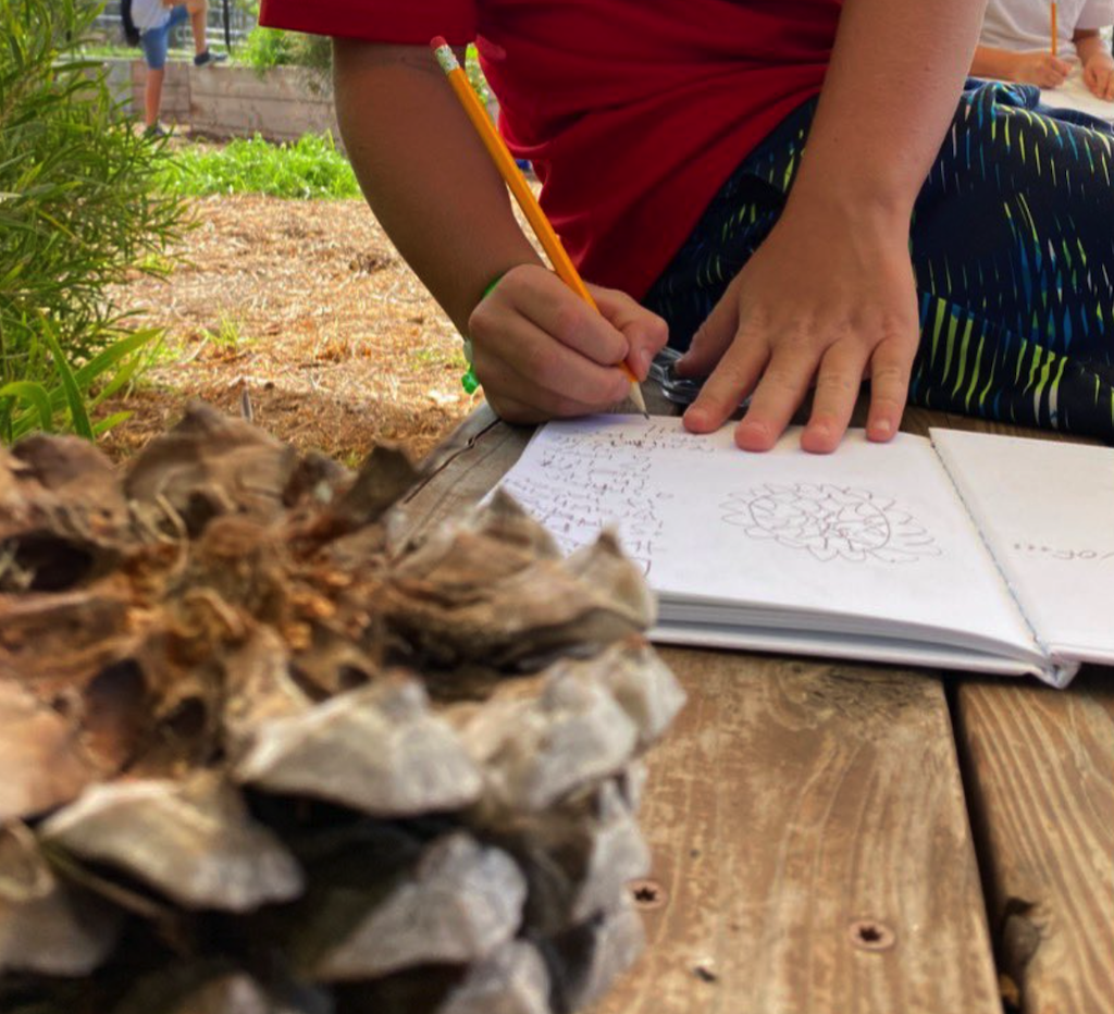 Discovery Kits for Nature’s Kids | Nature Collective