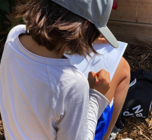 Discovery Kits for Nature’s Kids | Nature Collective