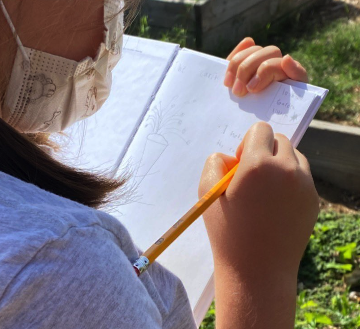 Discovery Kits for Nature’s Kids | Nature Collective