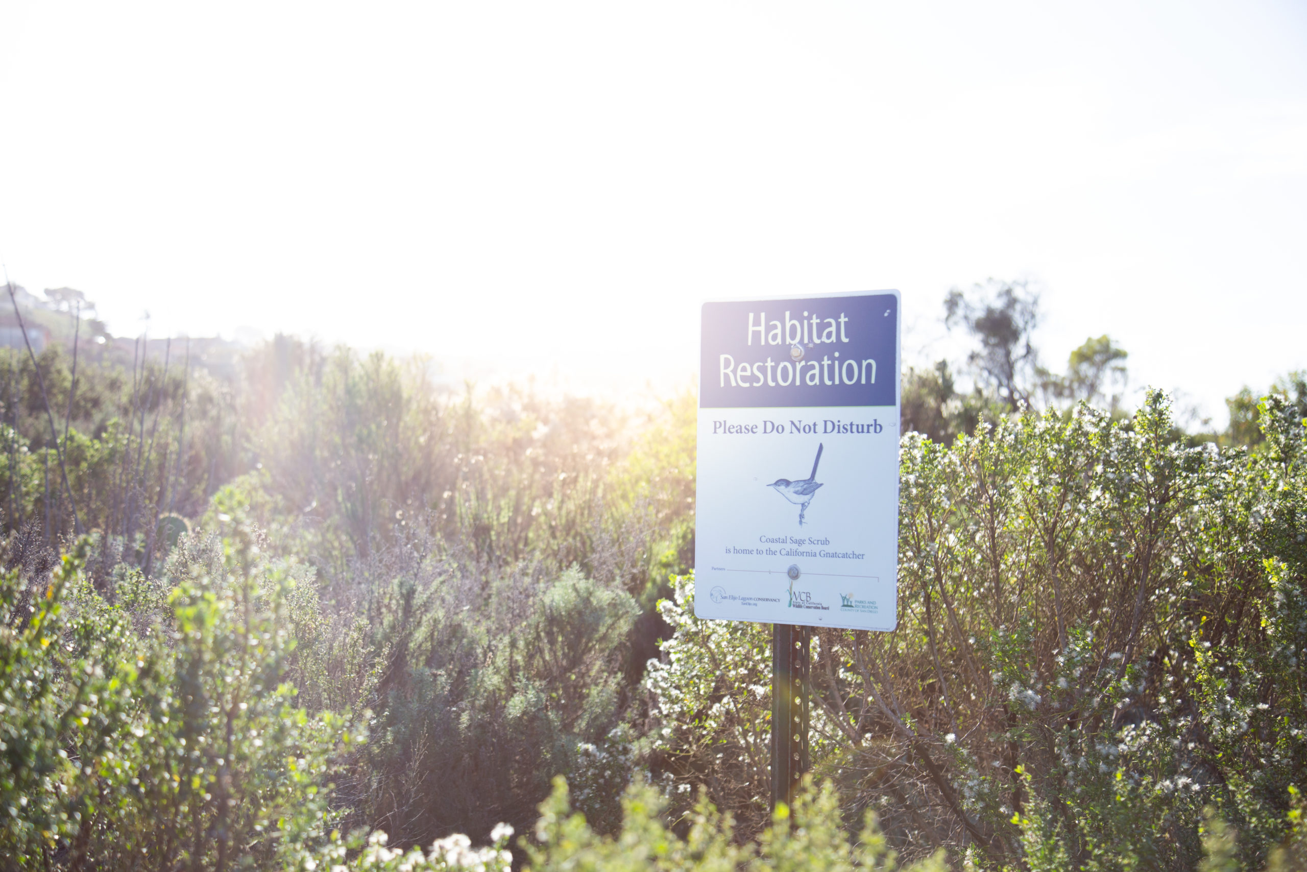 Nature At Work | The Natural Observer | Nature Collective