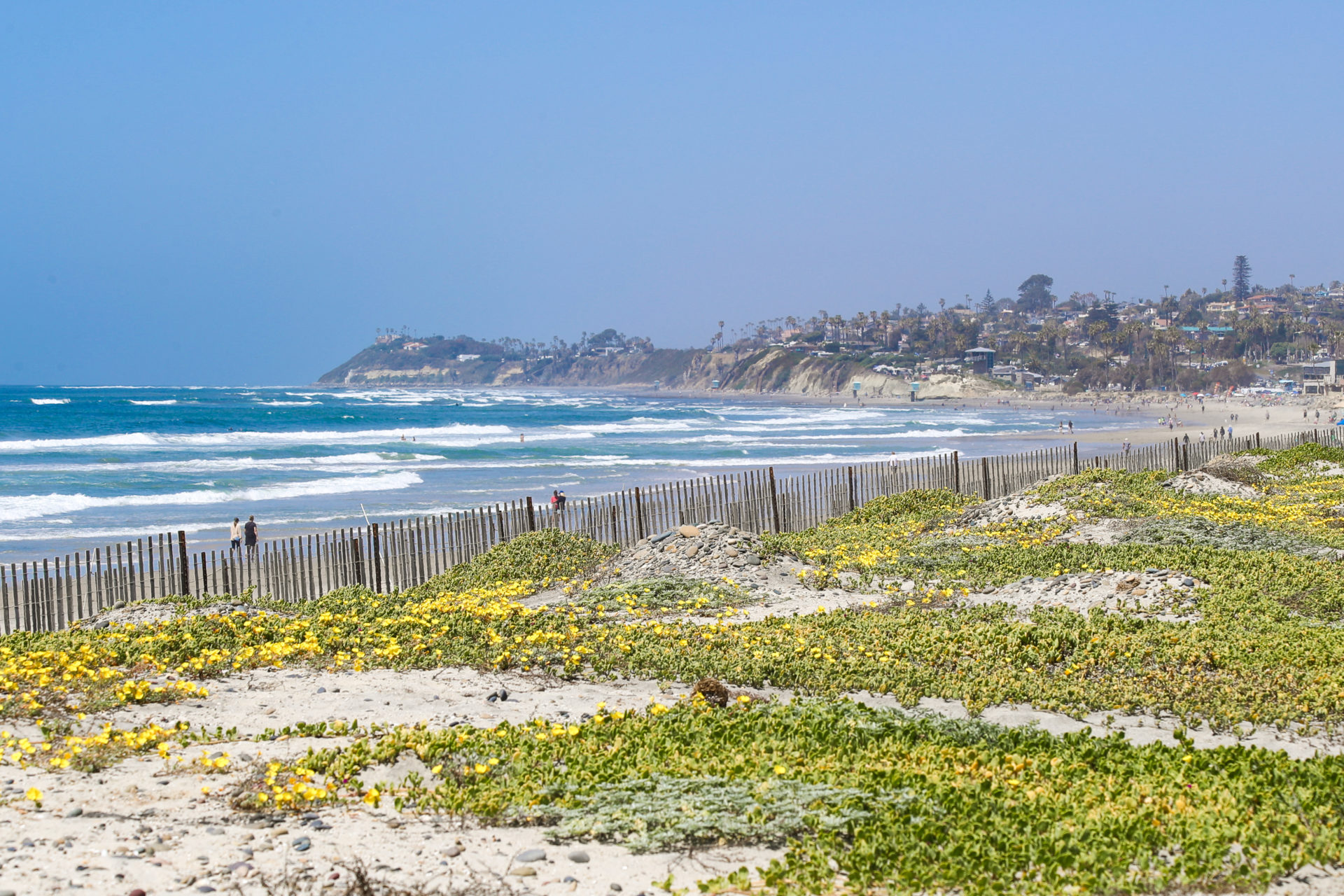 Cardiff Beach Living Shoreline Gets More Sand: June 1-8 | Nature Collective