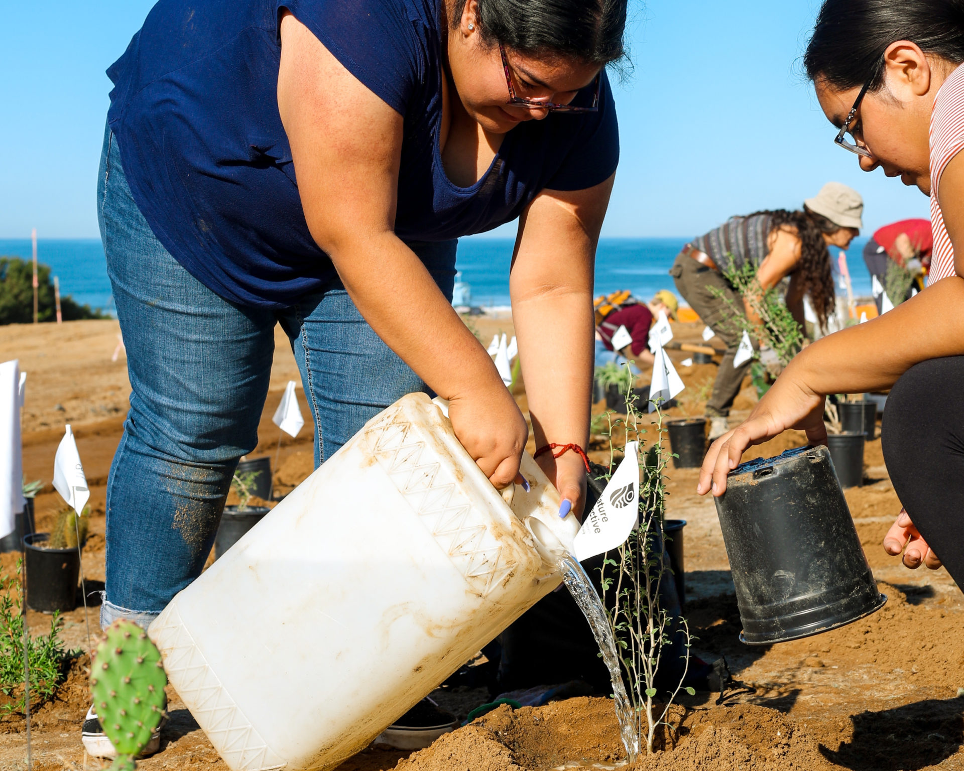 Volunteer Opportunities | Nature Collective