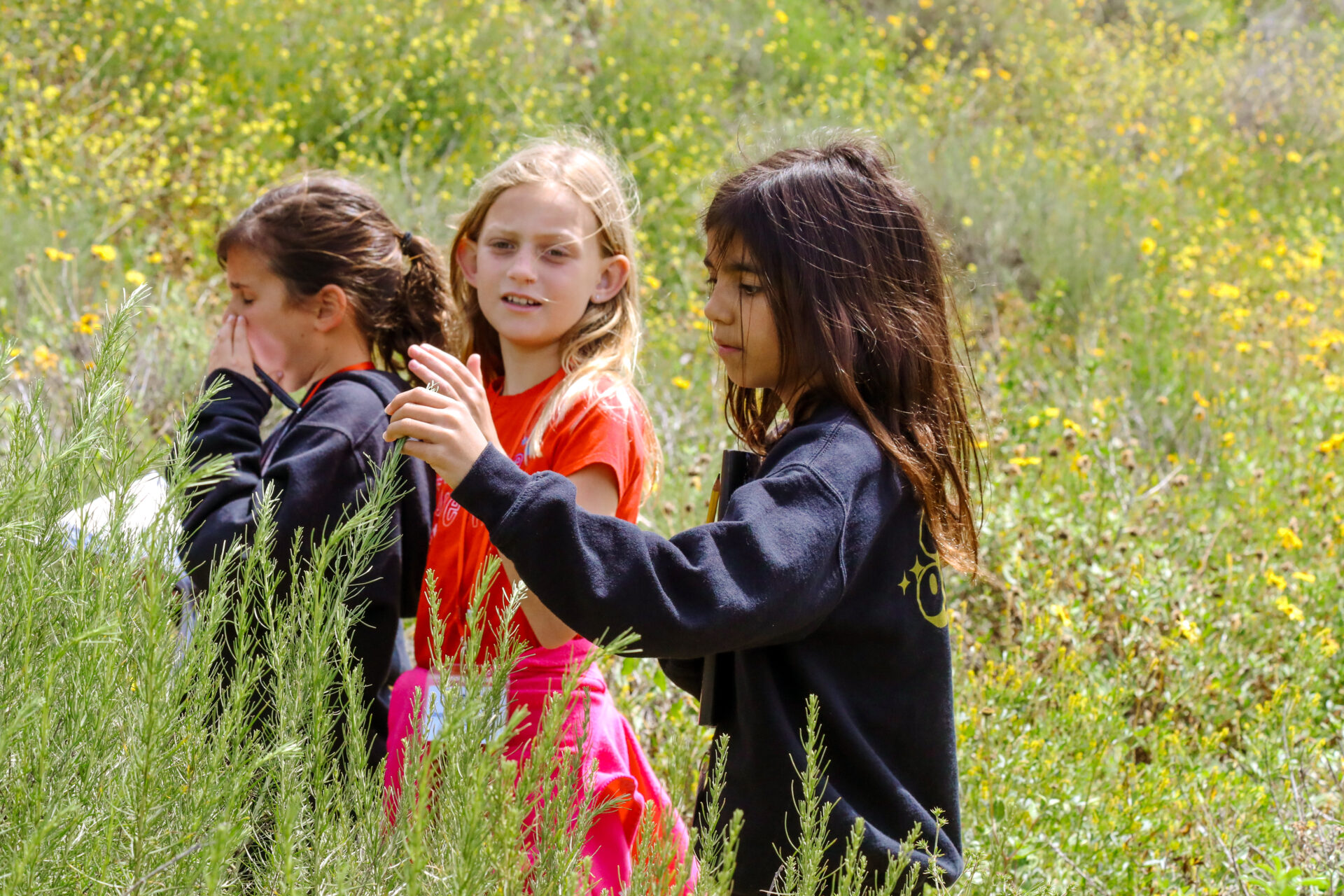 Nature-Based Learning | Nature Collective