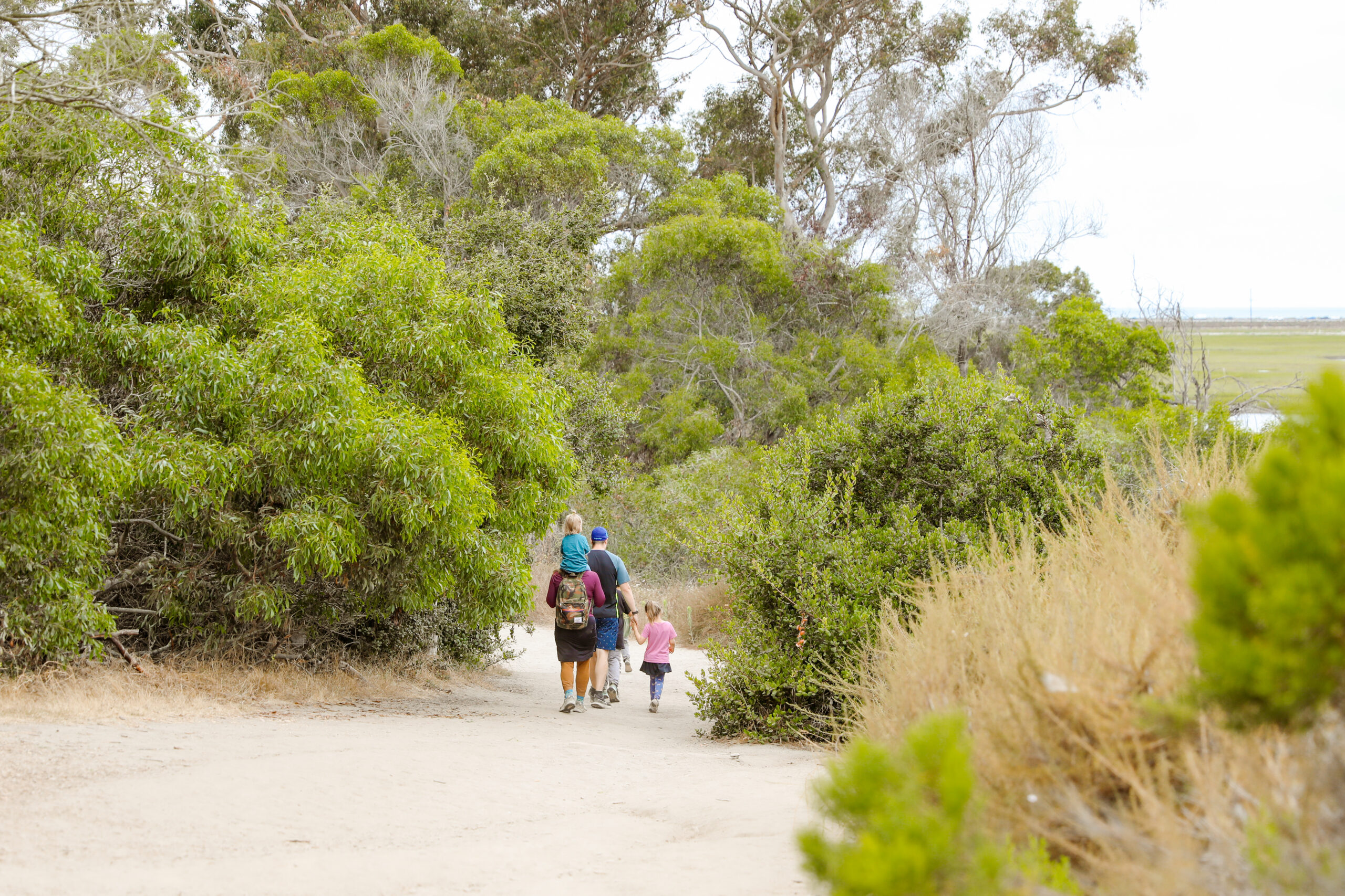 Hike in the San Elijo Lagoon | Via Poco Trailhead