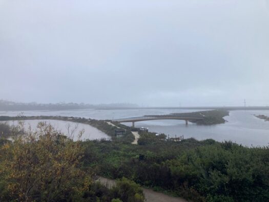 Heavy Rain Opens Inlet | Nature Collective