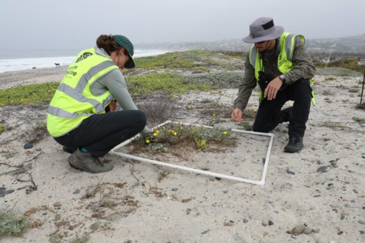 Creating Wildlife Habitats | Nature Collective