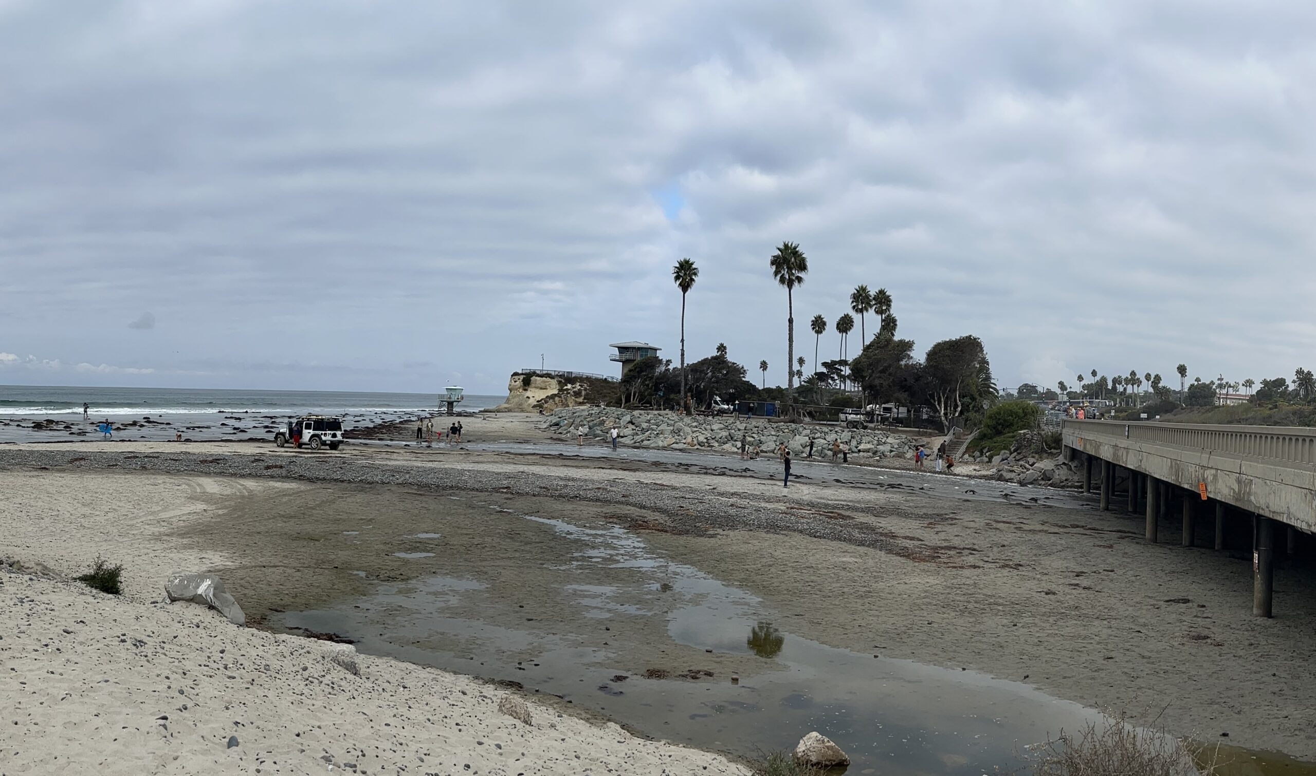 San Elijo Lagoon Inlet Update - February 2025 | Nature Collective