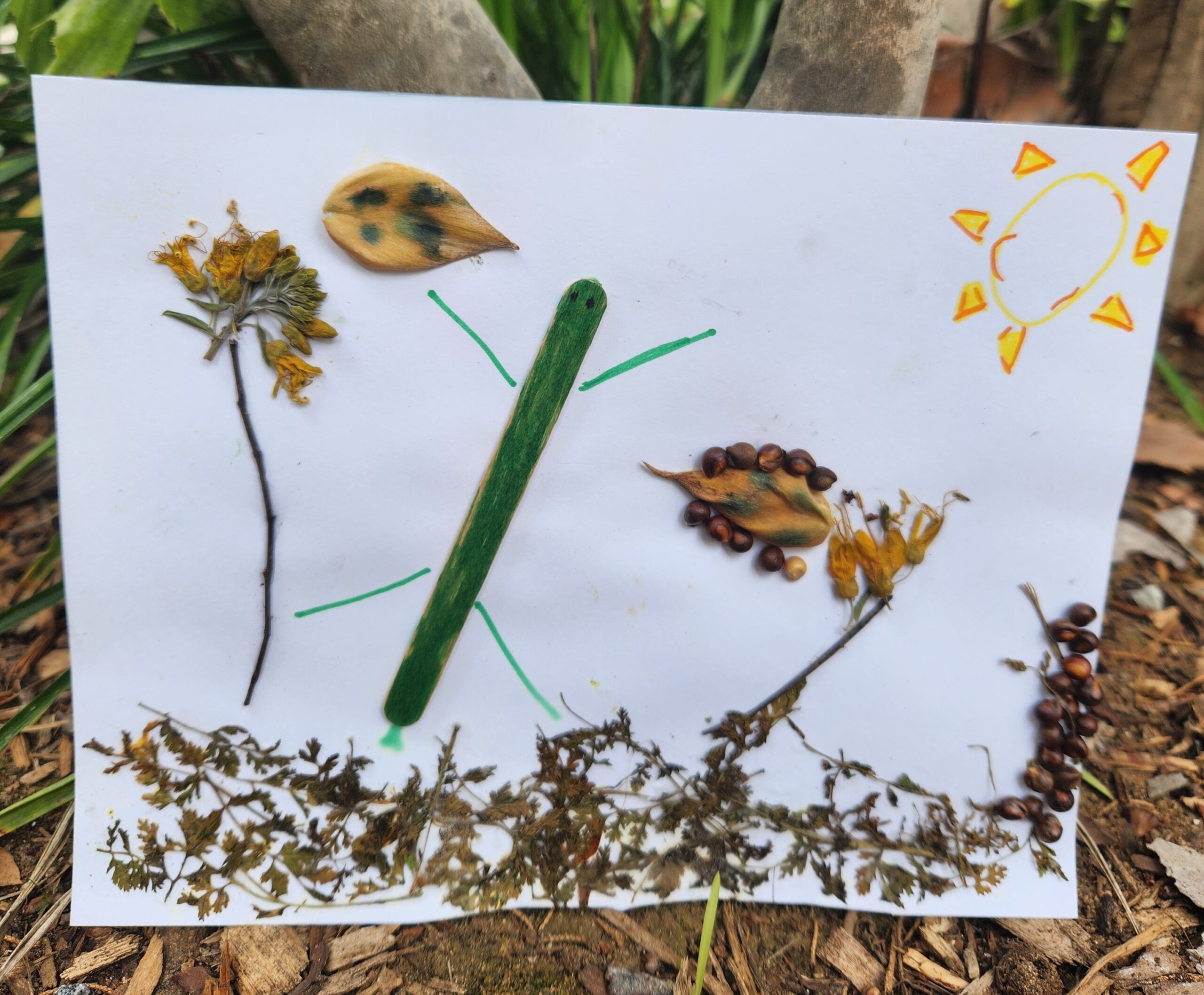 Nature-Inspired Art | Nature Collective